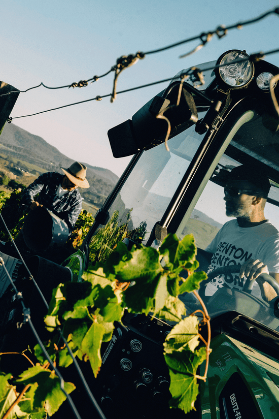 About Us – Denton Wines